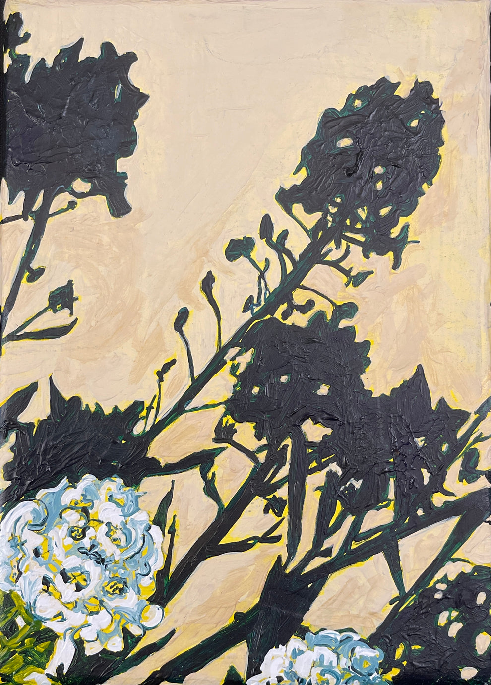 Sweet Alyssum – Judith T. Irwin