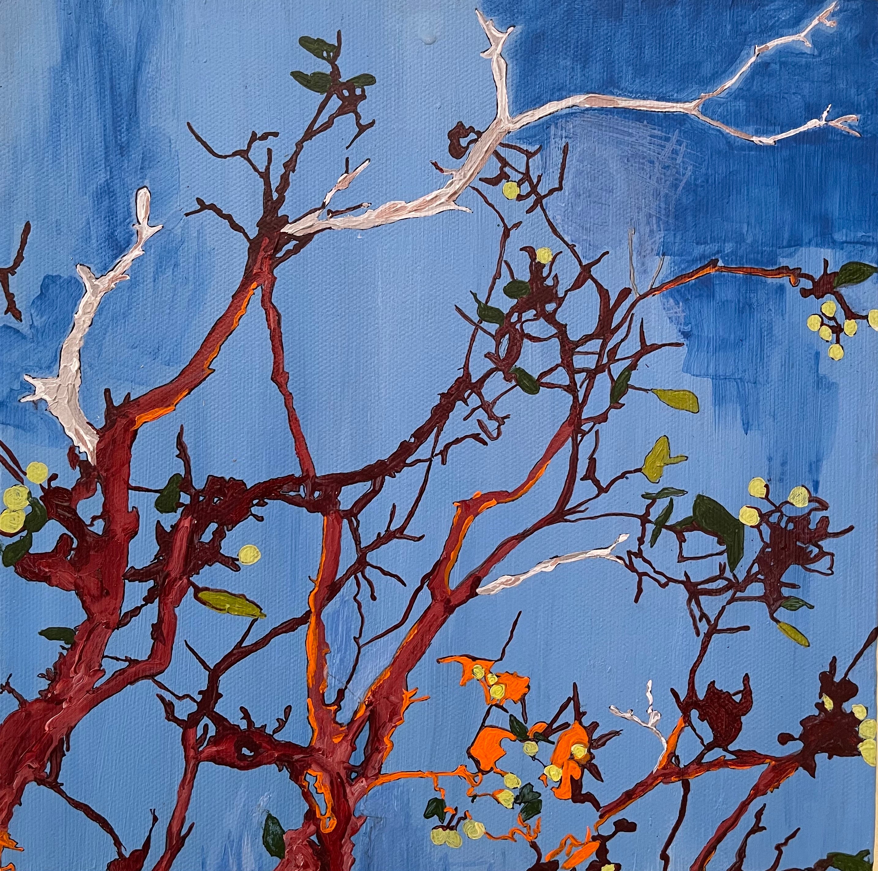 Judith T Irwin – Judith T. Irwin